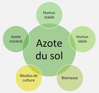 L'azote dans le sol