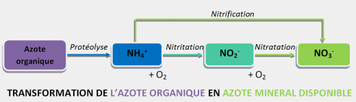 Analyse de reliquat azoté